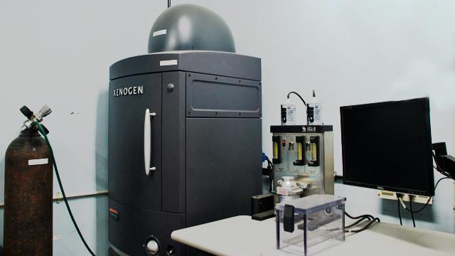 Central Instrumentation Facility